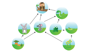 Alimentation et chaîne alimentaire | Institut national de la consommation