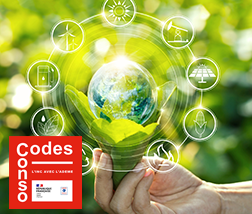 Codes Conso "Les labels environnementaux" | Institut national de la ...